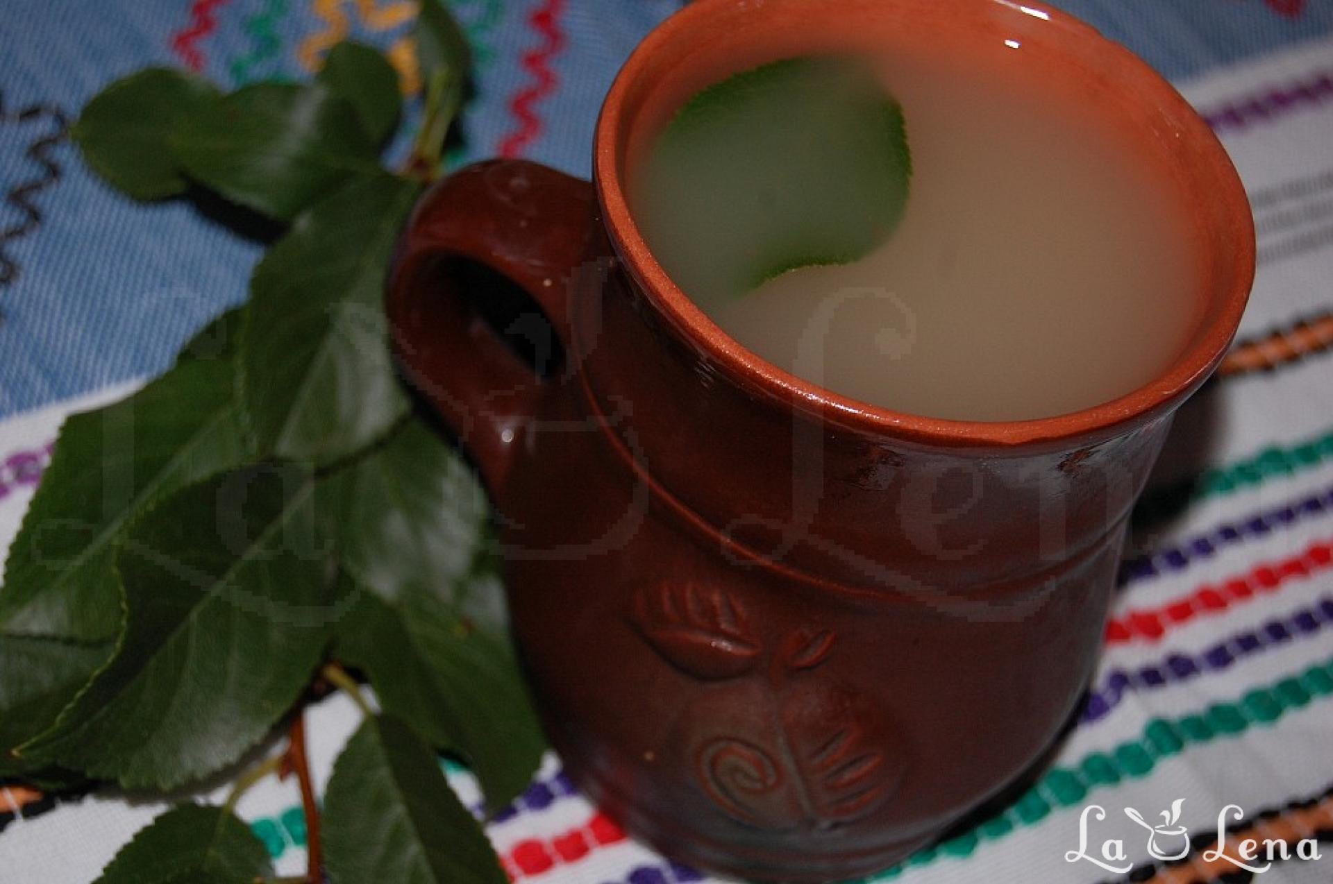 Borș acru de casă - LaLena.ro