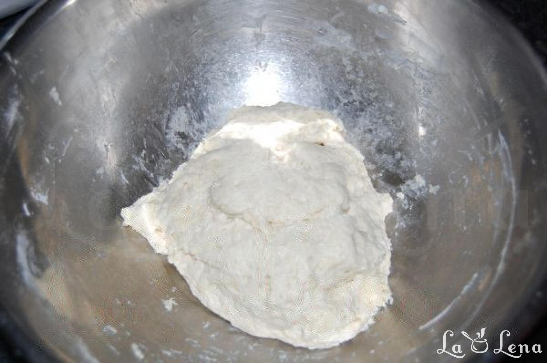 Aluat pentru pizza din drojdie instant - LaLena.ro